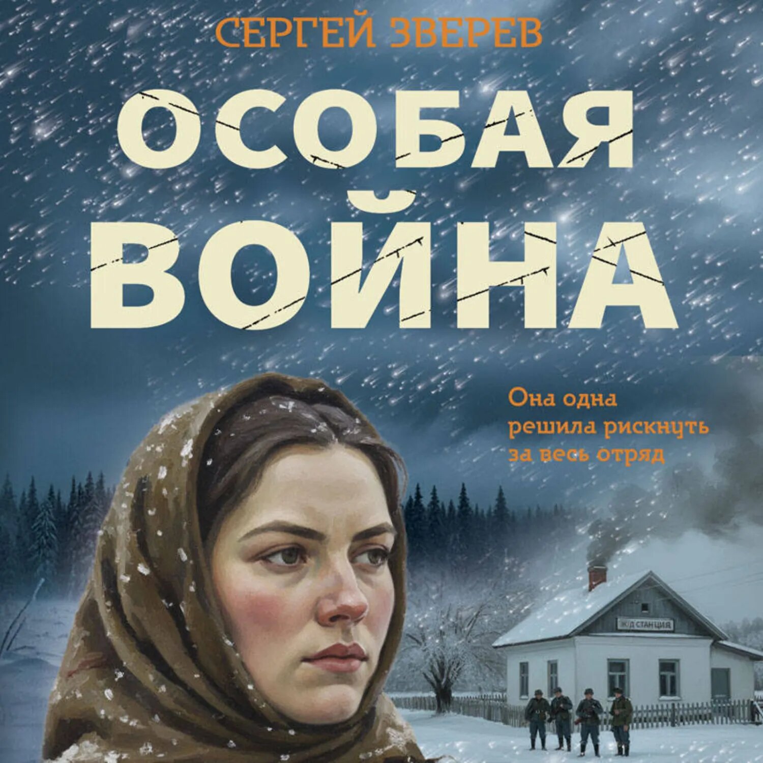 Особая война [Аудиокнига]