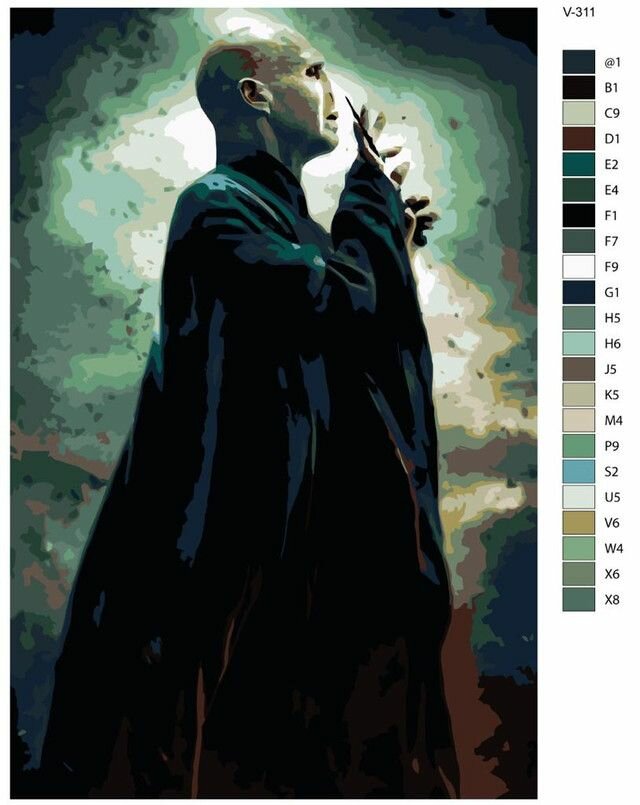 Картина по номерам V-311 "Гарри Поттер (Harry Potter). Волан-де-Морт", 50x70 см