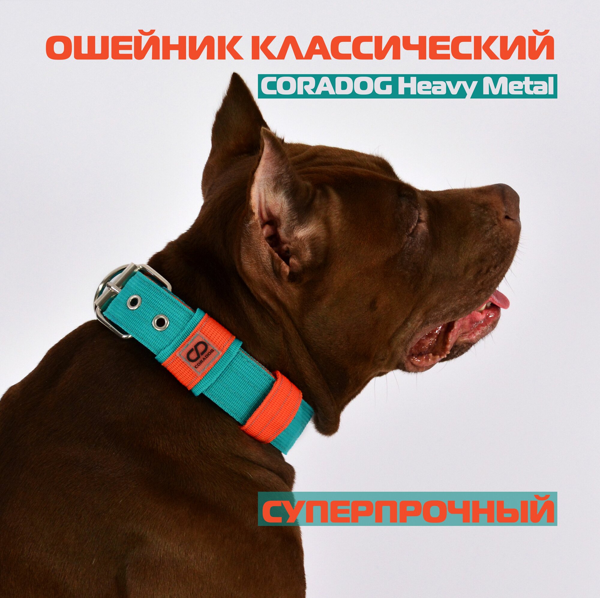 Ошейник высокопрочный, CORADOG Heavy Metal, для средних и крупных собак, бирюзовый, оранжевый, размер M 42-54 см