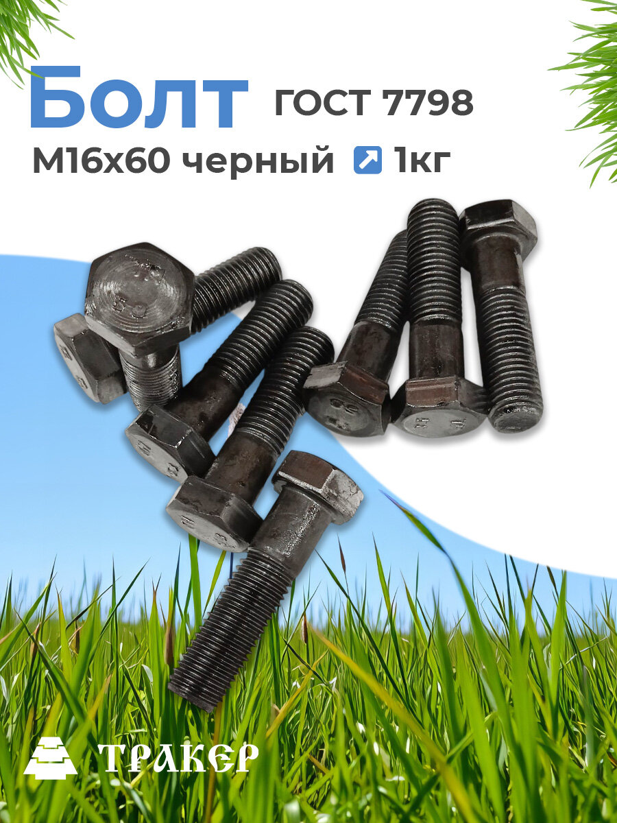 Болт М16х60 черный ГОСТ 7798 1кг. (в 1 кг. 8 шт)