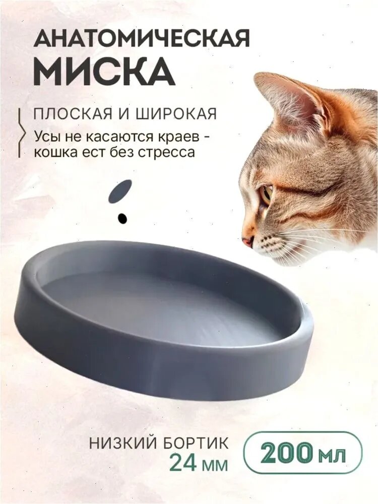 Миска для кошек плоская широкая серая 200 мл для котят собак мелких пород и грызунов