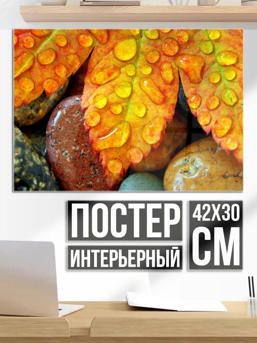 Плакат постер Осенний лист с каплями