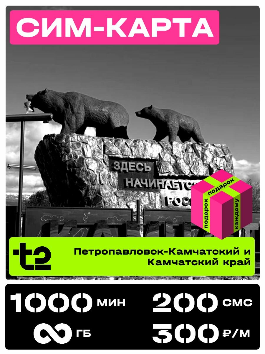 Сим карта теле 2 с безлимитным интернетом. t2 SIM-карта тариф Партнер М Камчатский край. 1000 минут за 300 рублей в месяц.