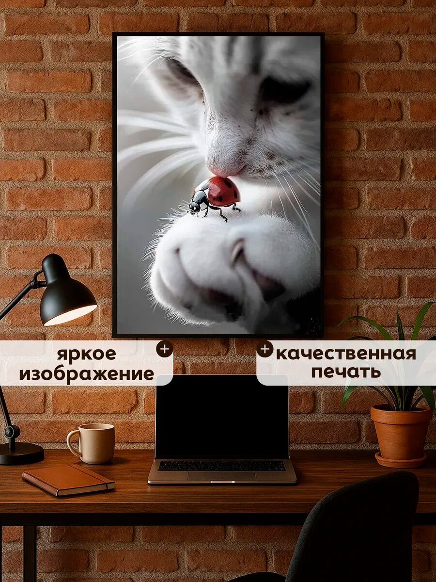 Постер для интерьера 40х60 Котик — фото 1