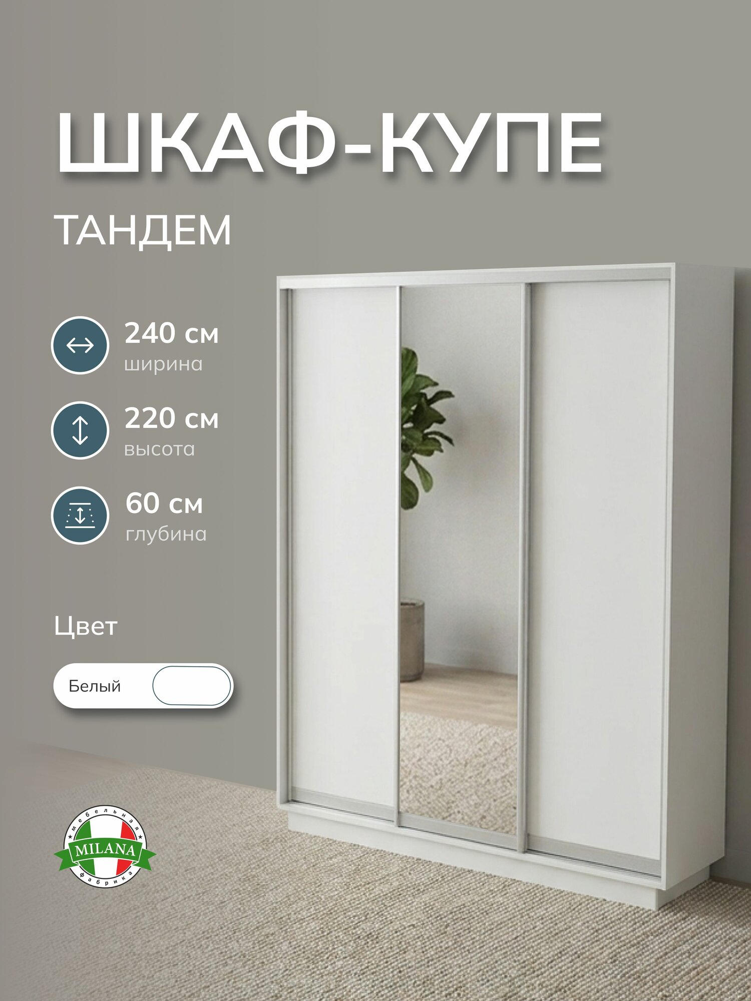 Шкаф купе с зеркалом Тандем трехстворчатый, 240х220х60 см