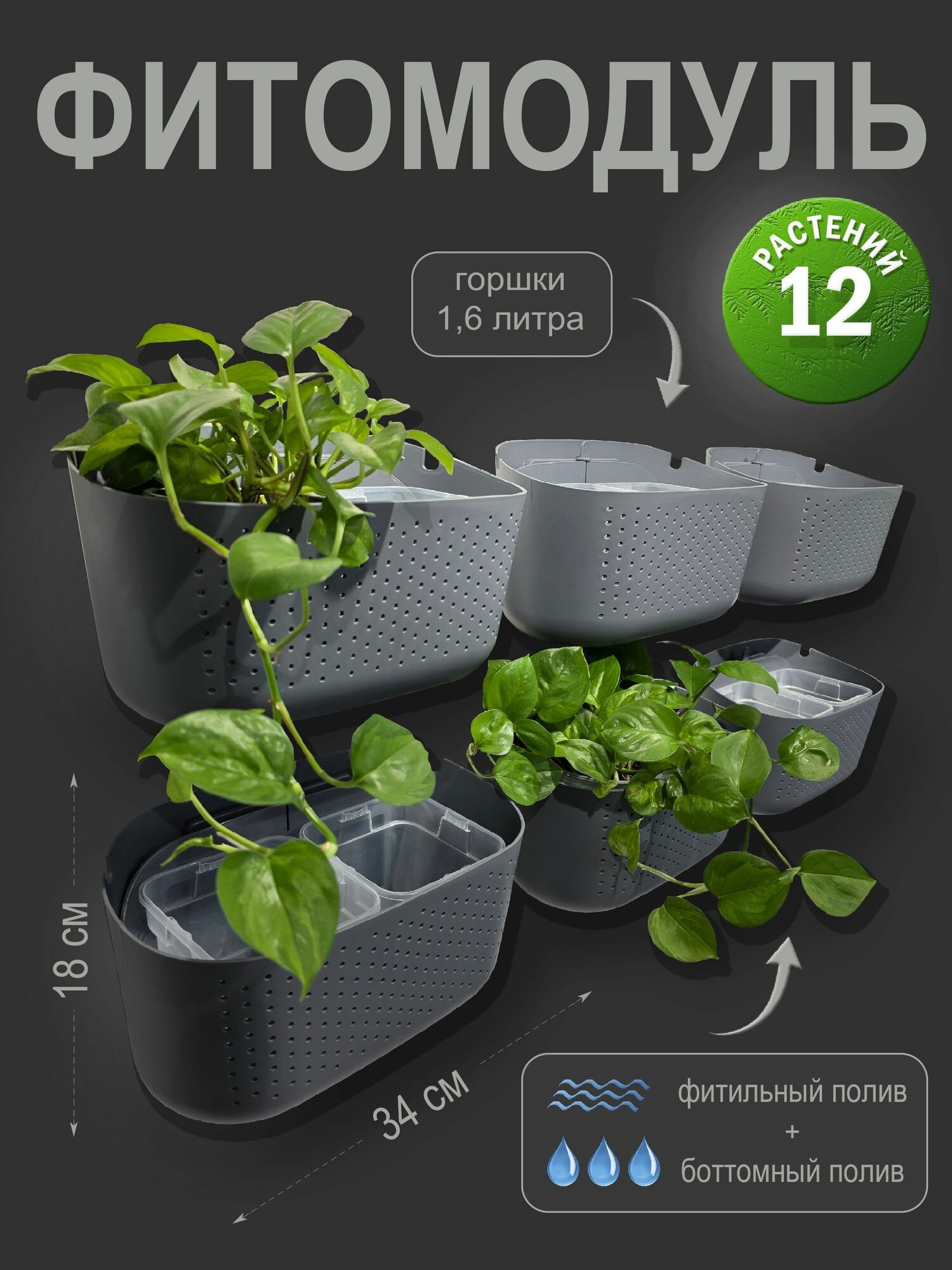 Фитомодуль BOXSAND-2 (34х18 см) набор 6 штук, с горшками 1,6 литра