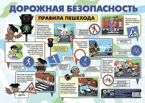 Тематический плакат "Дорожная безопасность. Правила пешехода" (Формат А2)