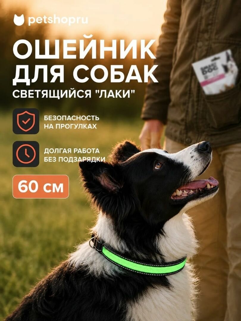 Светящийся ошейник "Лаки", зелёный