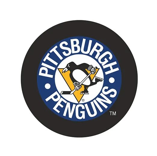 Без бренда Шайба НХЛ Питтсбург Pittsburgh Penguins 1969-1972 1-ст.