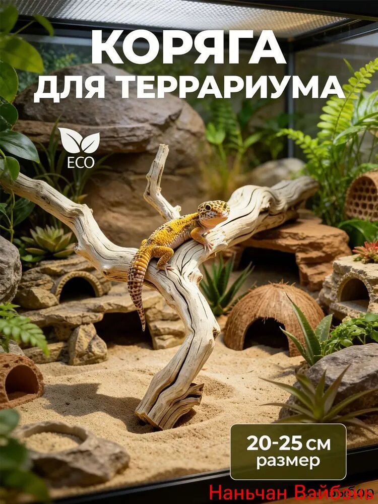 Натуральная коряга для террариума, ветка для лазания и укрытия рептилий, декор для ящериц, змей и хамелеонов
