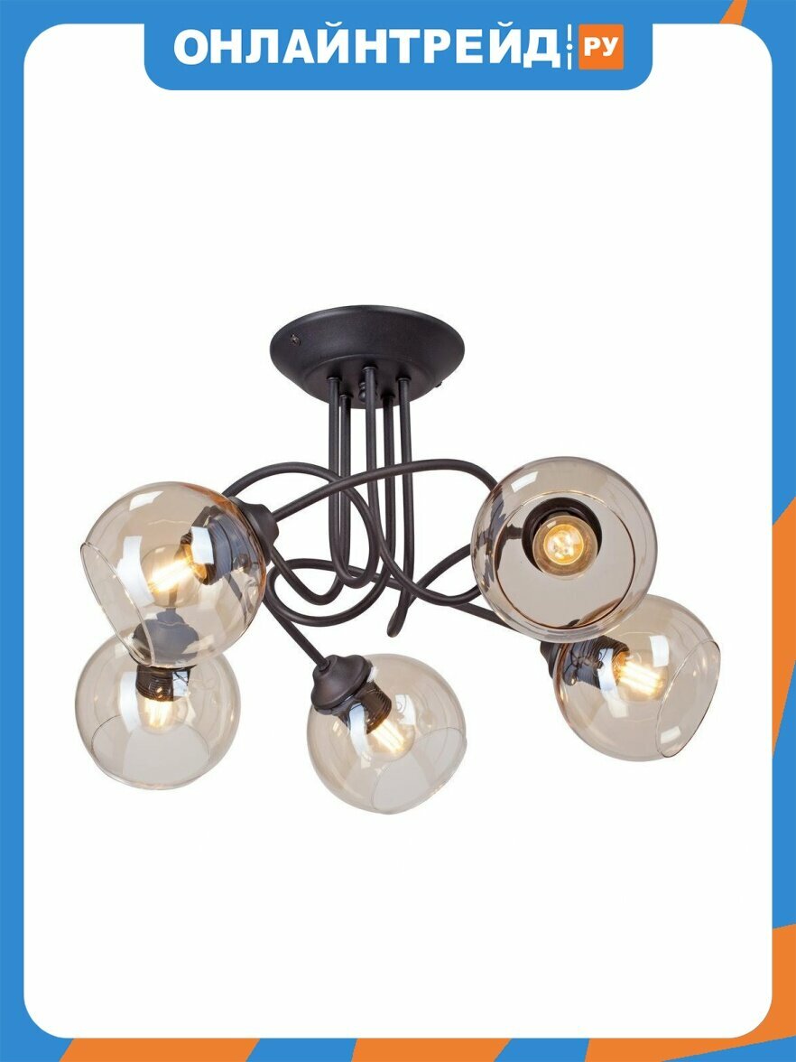 Потолочная люстра Vitaluce V43090-13/5PL