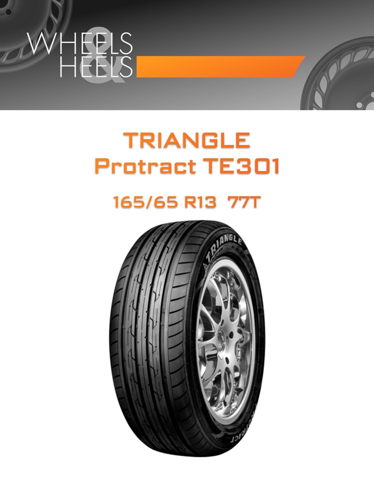 Шина автомобильная Triangle Protract TE301 165/65 R13 77T SUMMER, летняя, универсальная