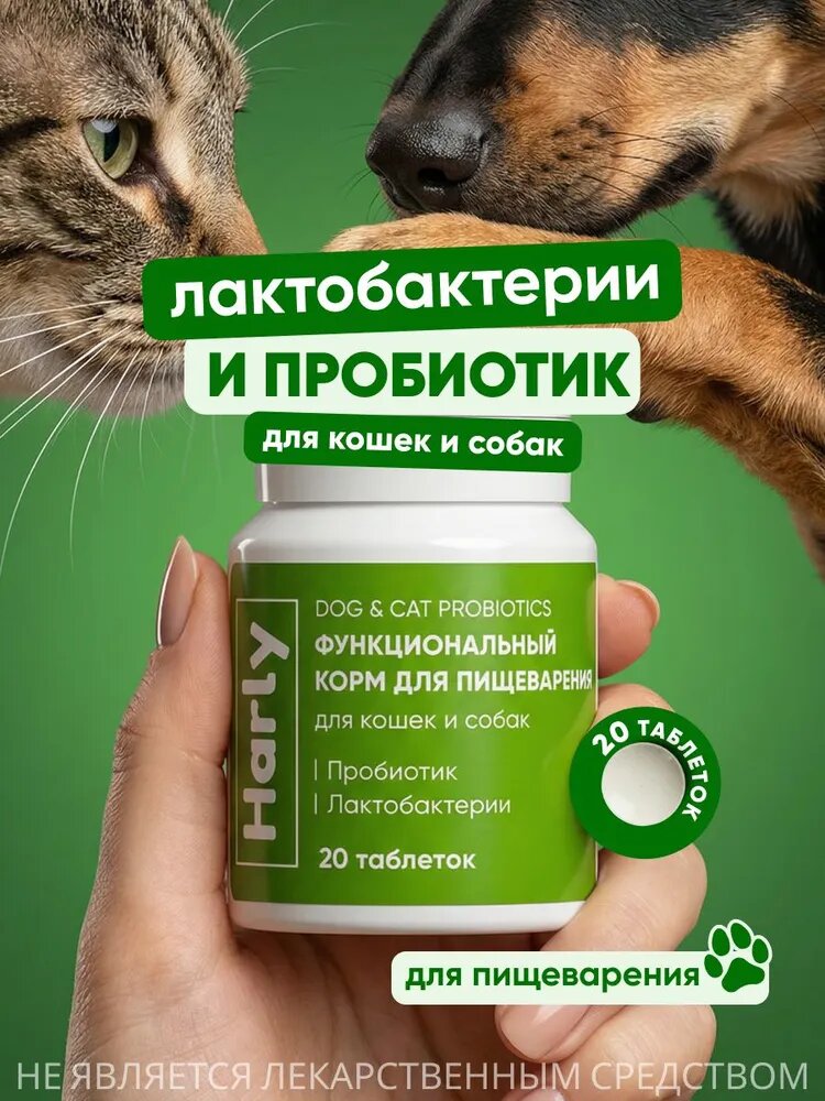 Пробиотик для собак и кошек лактобактерии для профилактики жкт