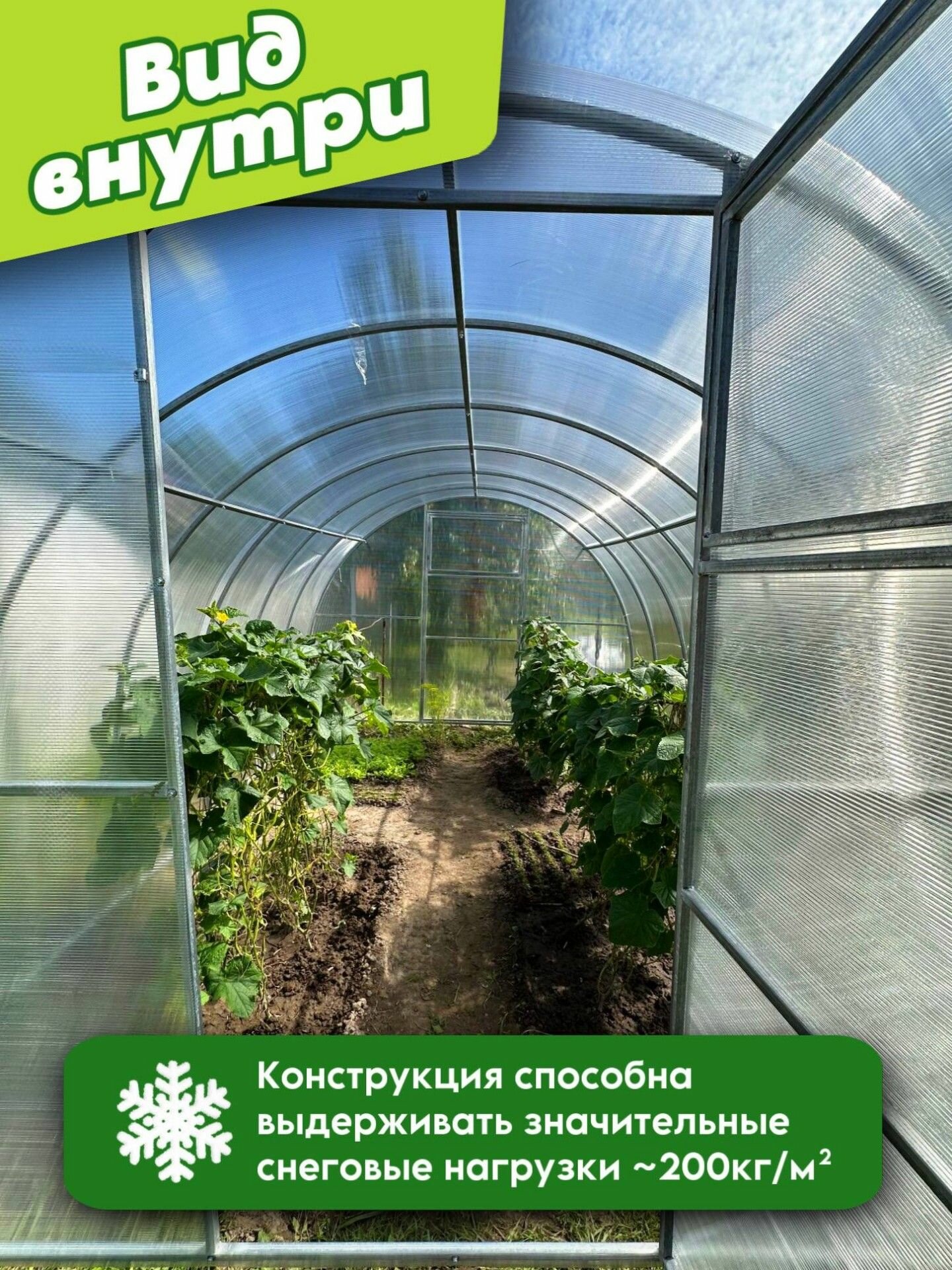 Теплица — фото 1