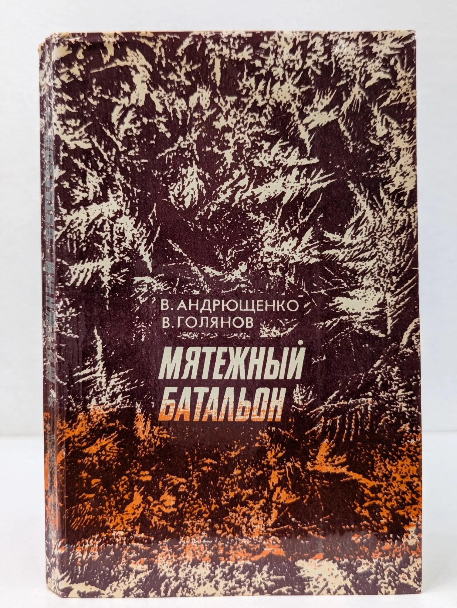 Мятежный батальон Андрющенко Виктор Андреевич, Голянов Владимир Петрович 1978