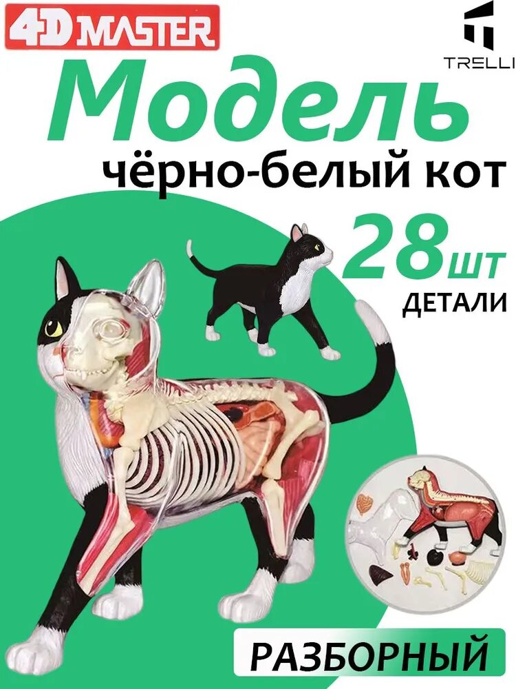 Модель животного/ Развивающая игрушка/может быть использована для обучения детей / Анатомия животных для детей