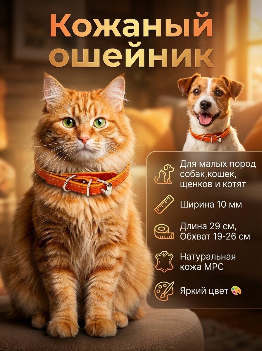 Ошейник из натуральной кожи для мелких пород собак, щенков, кошек и котят 10 мм*29 см. Объём шеи 19-26 см. Расстояние между отверстиями 1,5 см. Кожаный, повседневный ошейник.