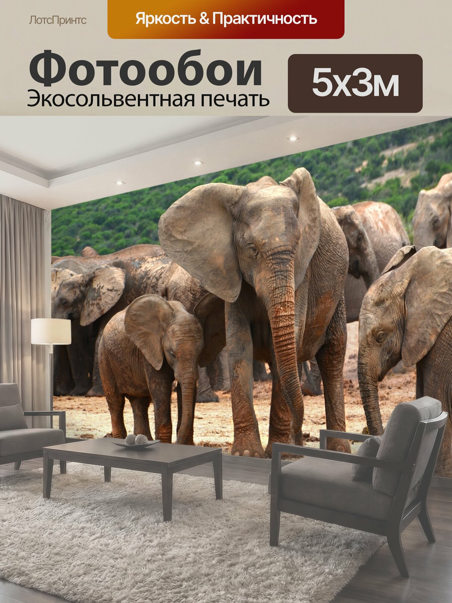 Фотообои "Африке, семья слонов, слоны" 500x300 см. экосольвентная печать