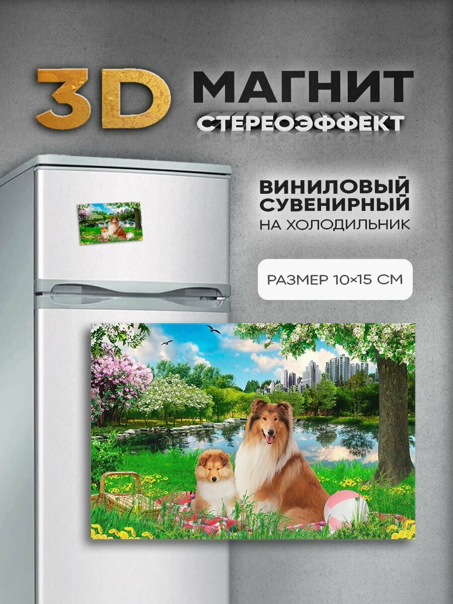 Стереомагнит с 3D-эффектом "Собаки колли"