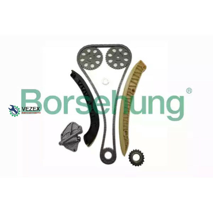 BORSEHUNG B16295 Цепь ГРМ с натяжителями, комплект