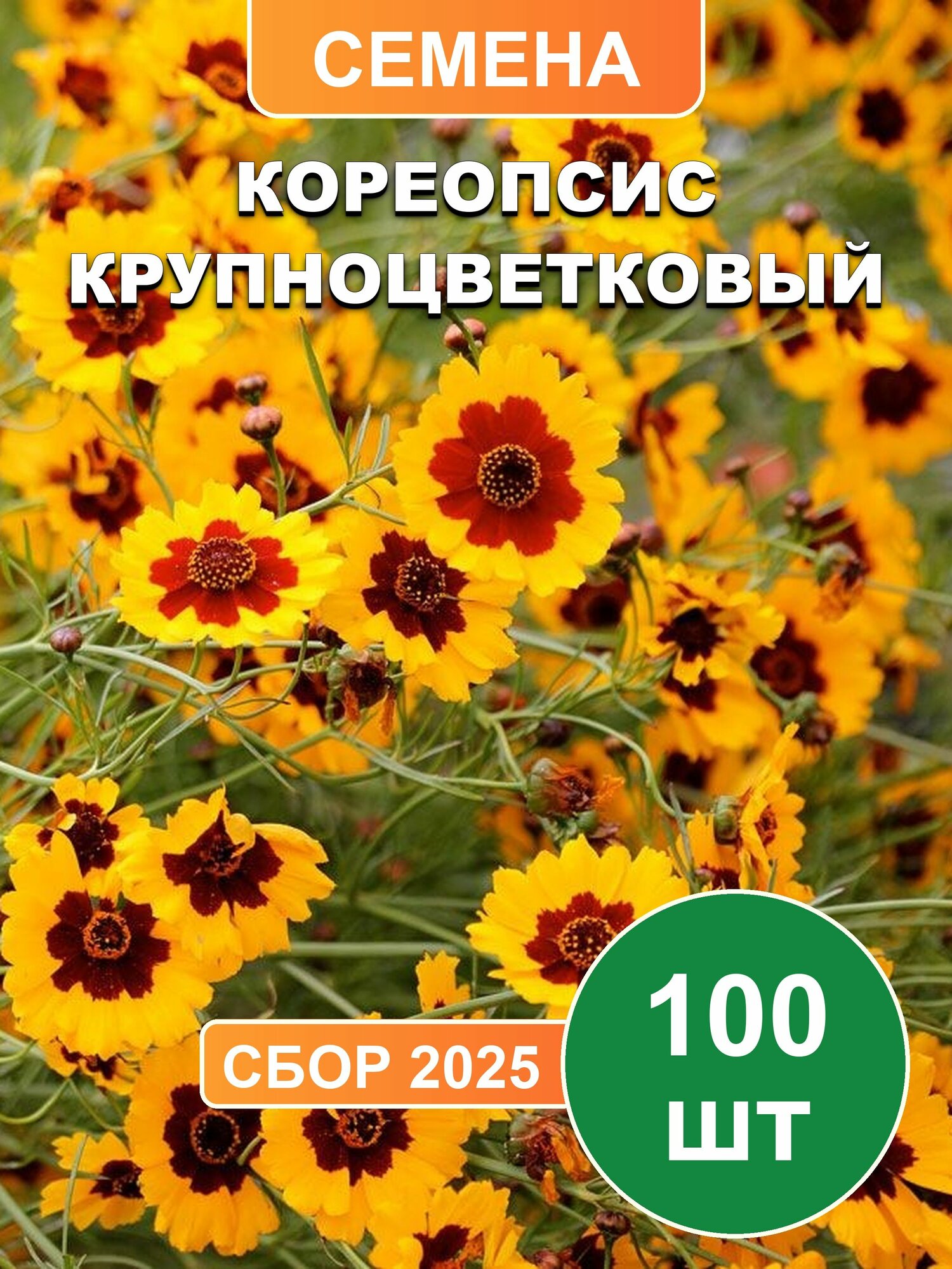 Кореопсис крупноцветковый, семена, 100шт