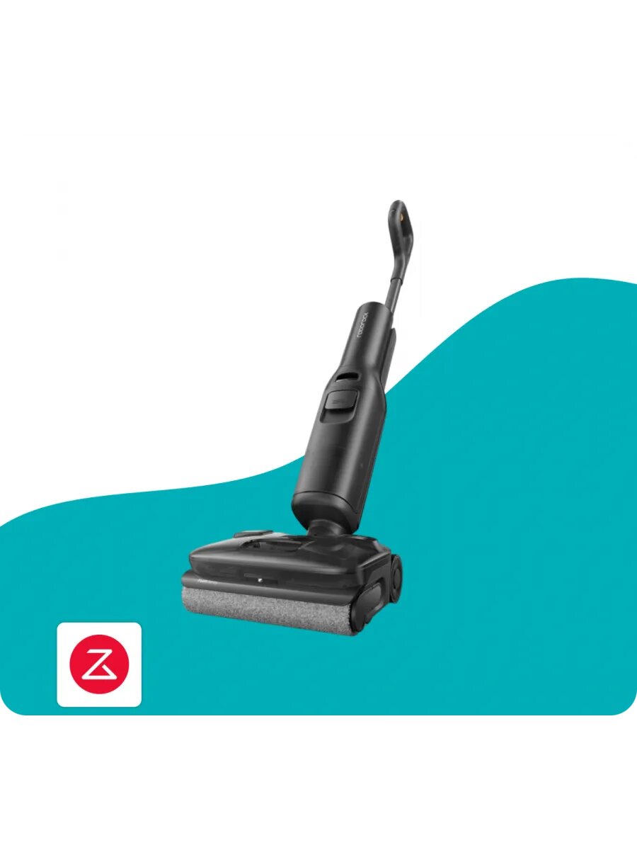 Roborock F25 Ace Pro (Русская версия)