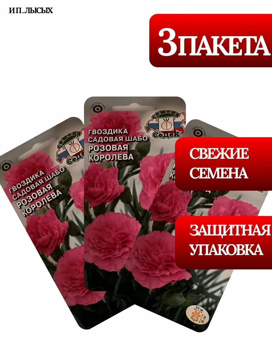 Семена Гвоздика "Розовая Королева"