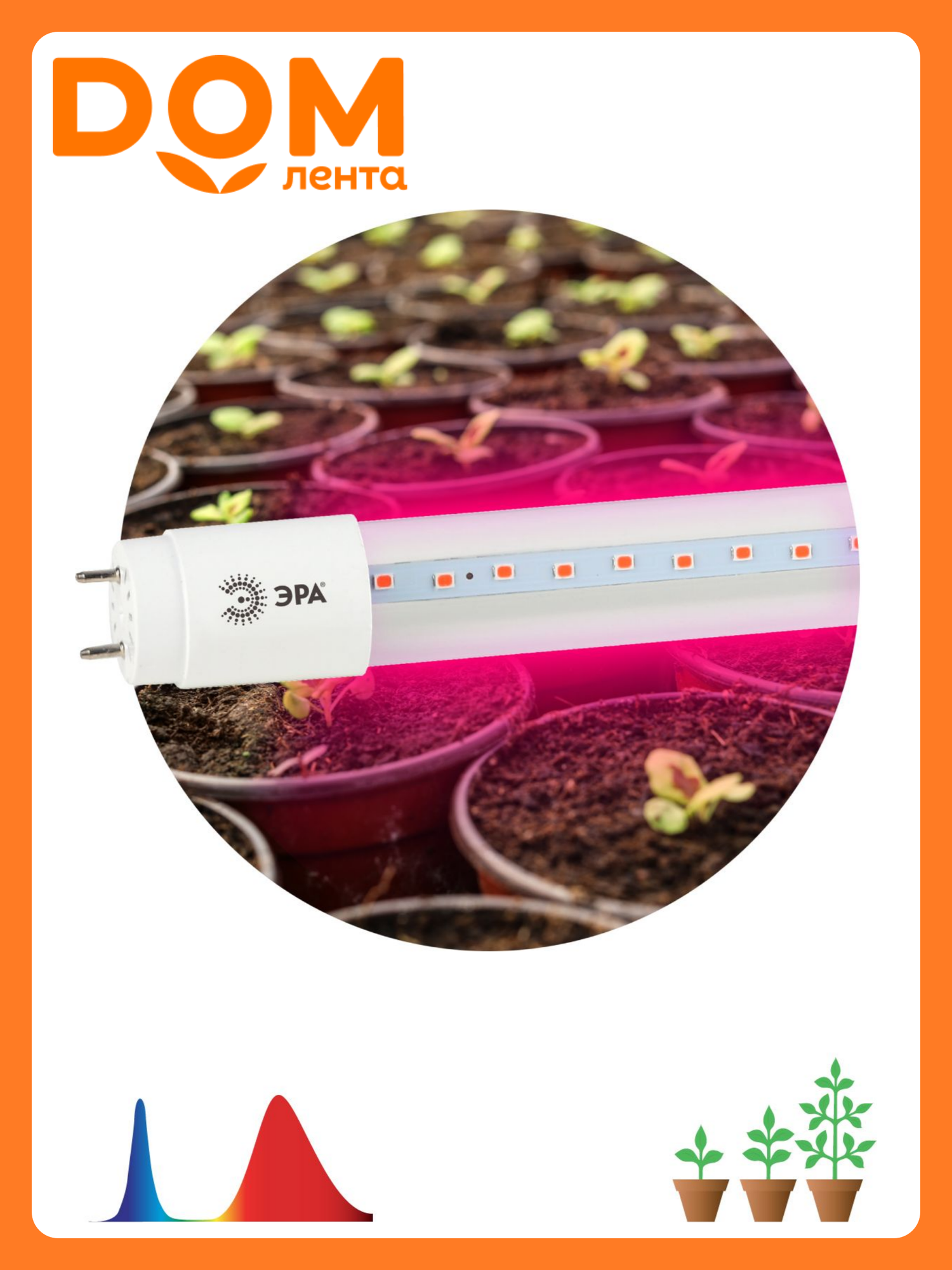 Фитолампа для растений т8 9 Вт g13 красный-синий