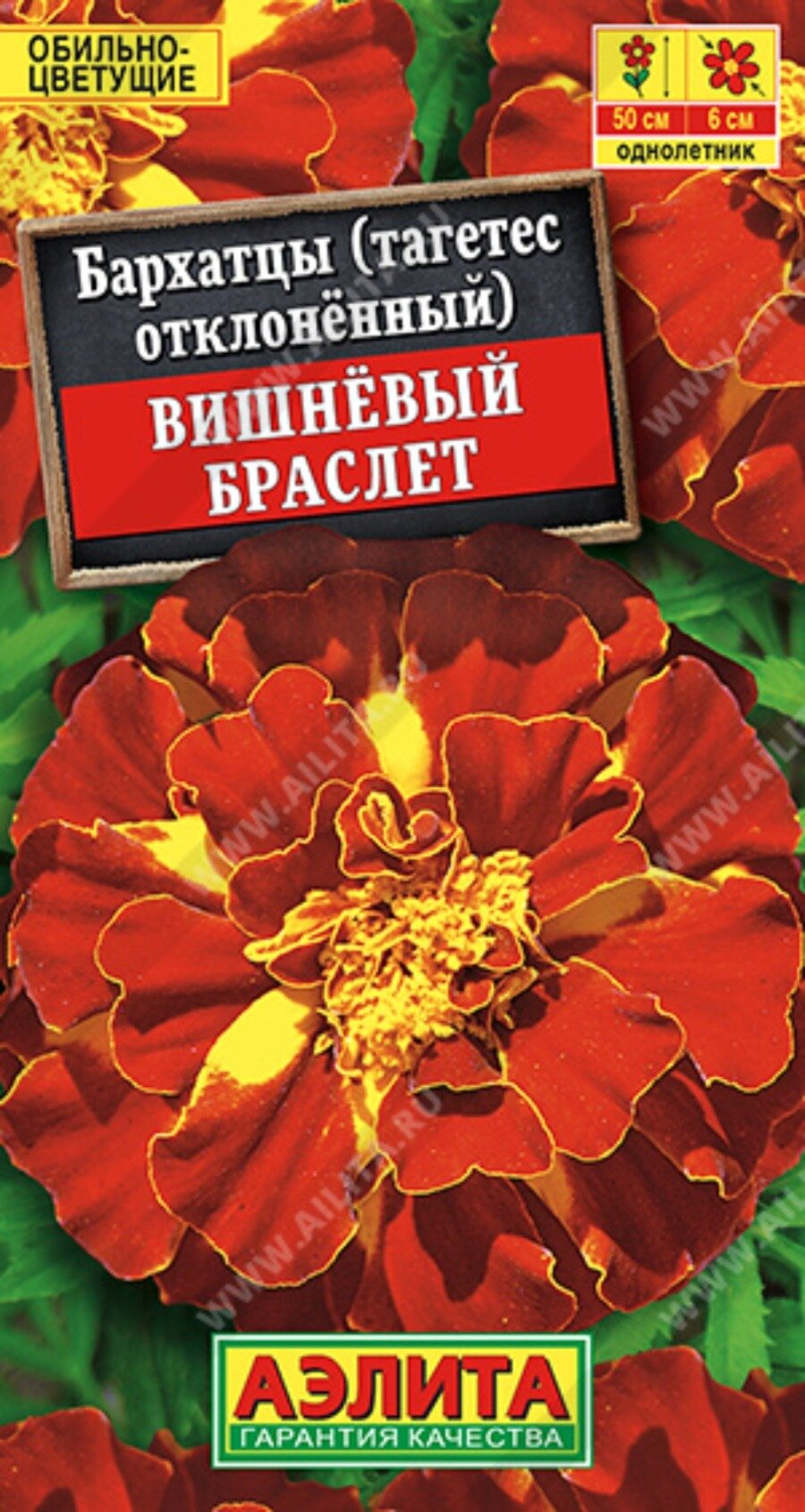 Семена Бархатцы Вишневый браслет (0,3 г), Агрофирма Аэлита, высота 30-50 см. — фото 1