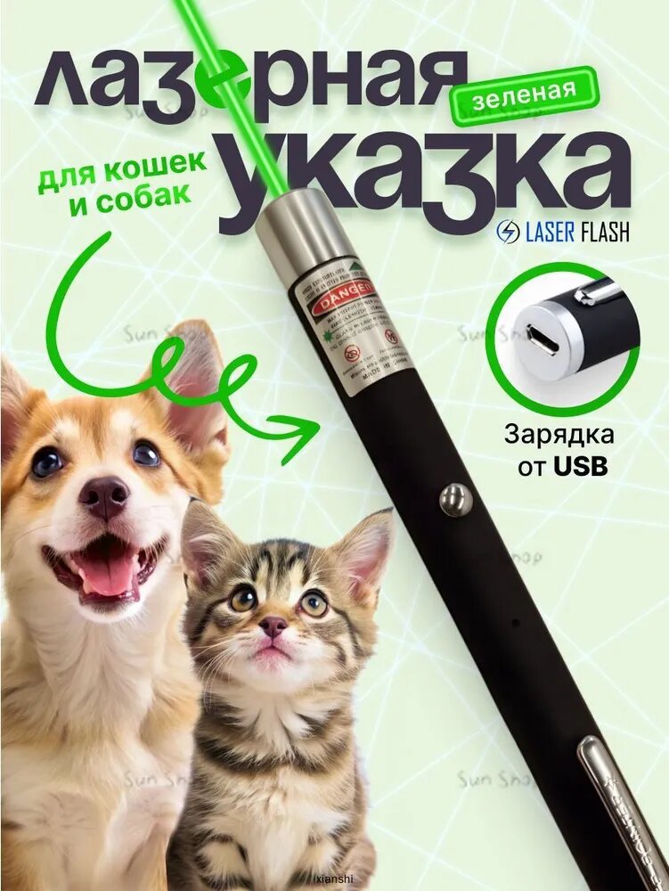 Мощная зеленая лазерная указка 50 mW для кошек с зарядкой usb