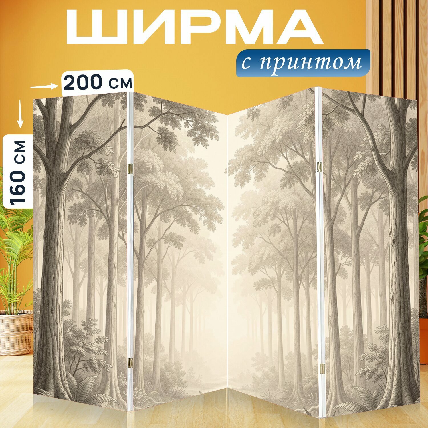Ширма "Туманный лесной коридор. Светлая лесная аллея с высокими стволами, густой листвой и мягким туманом в." перегородка для зонирования комнаты с принтом 200x160 см. на холсте