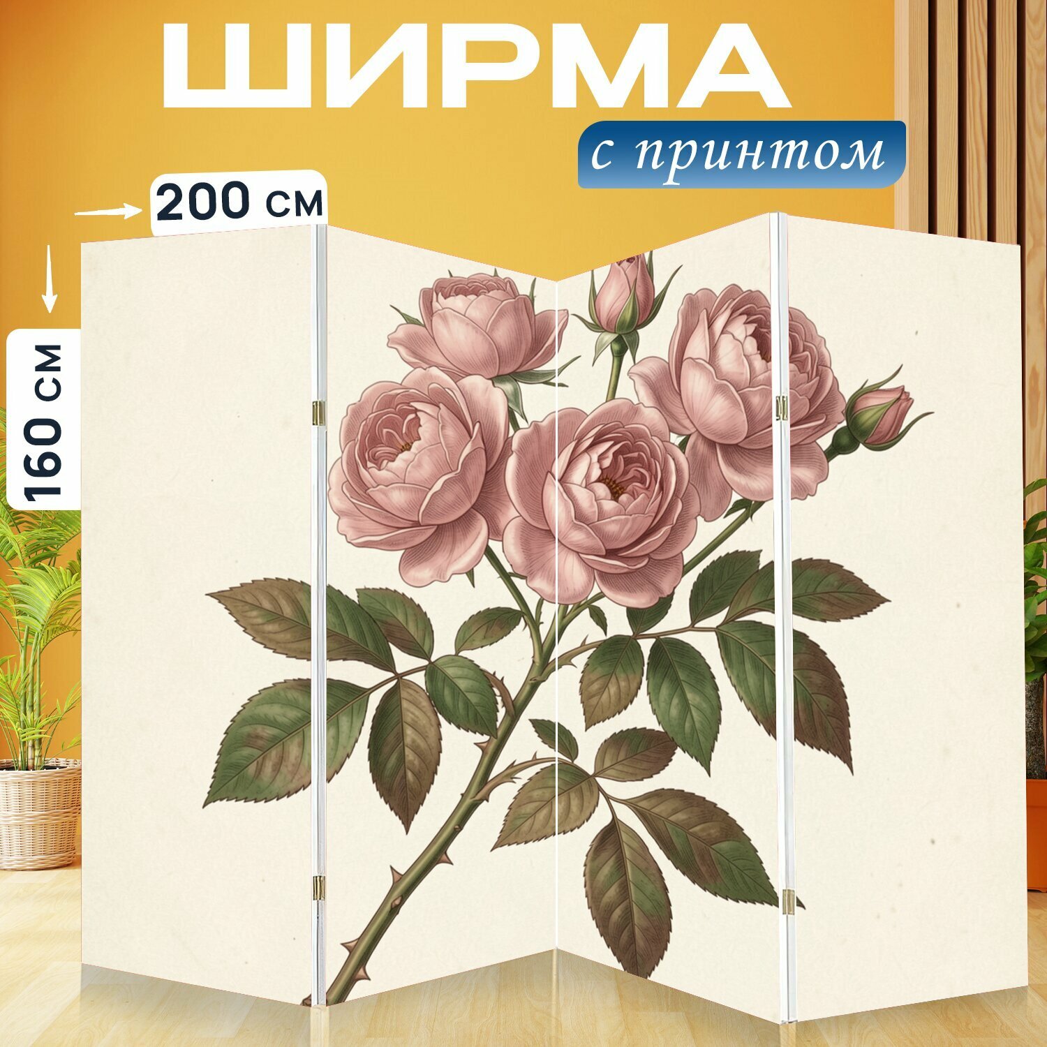 Ширма "Розовые садовые розы. Нежная ботаническая иллюстрация с распустившимися бутонами и зелёной листвой, в." перегородка для зонирования комнаты с принтом 200x160 см. на холсте