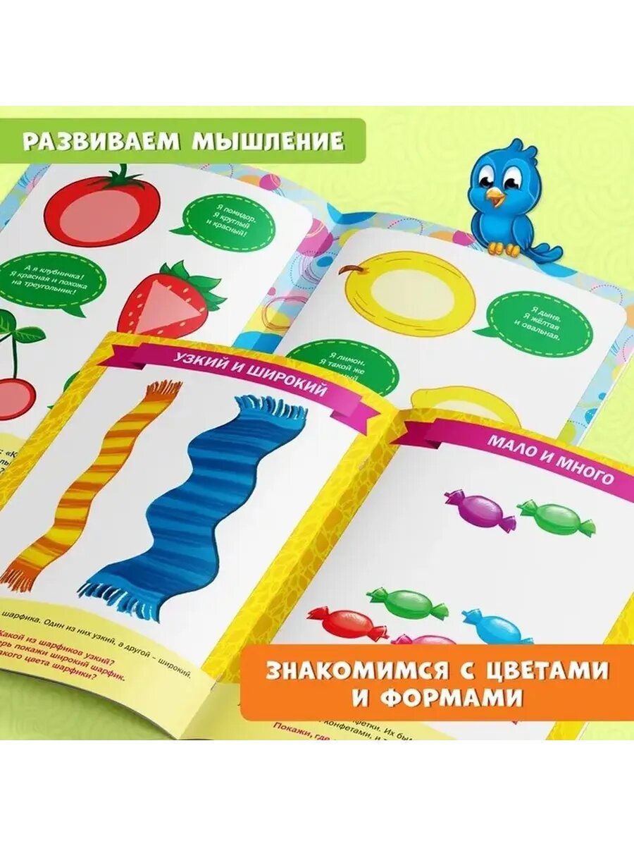 Обучающий комплект для малышей 1-2 лет