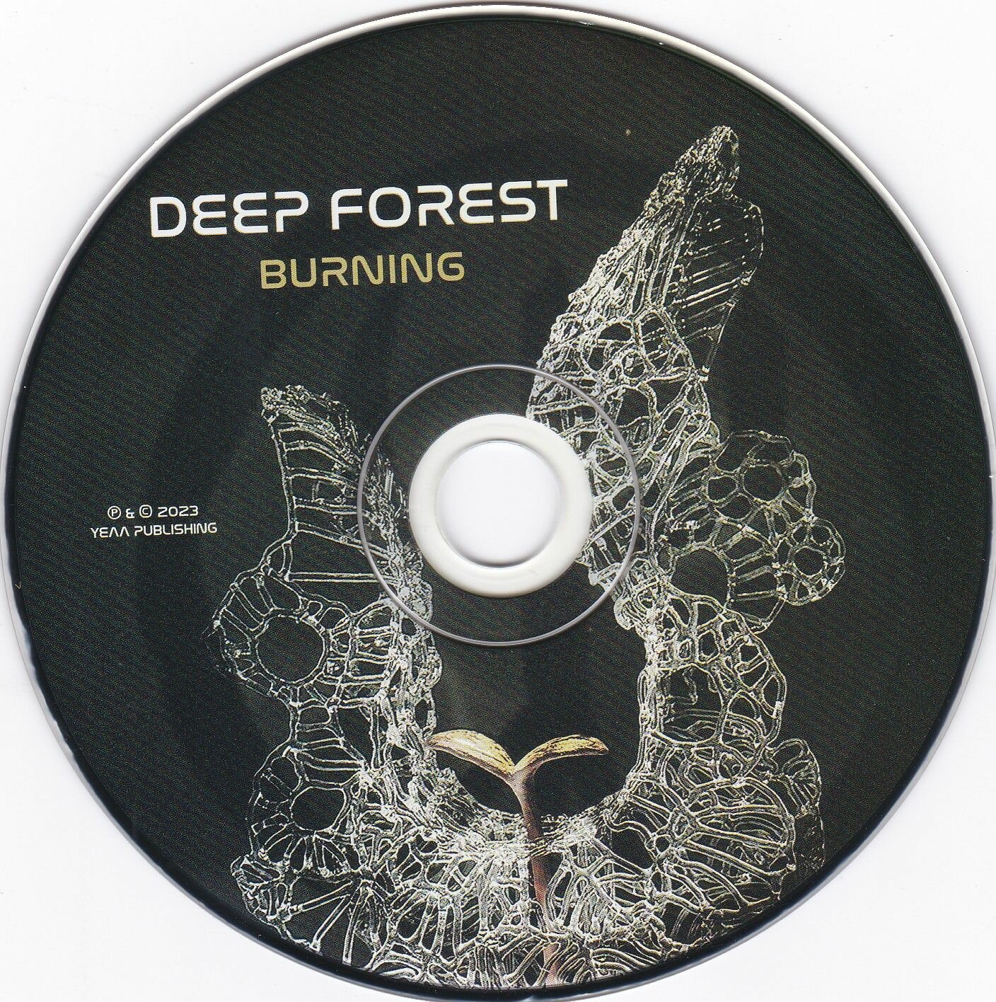 Deep Forest - Burning, 2023, 4-page, CD-Аудио — фото 1