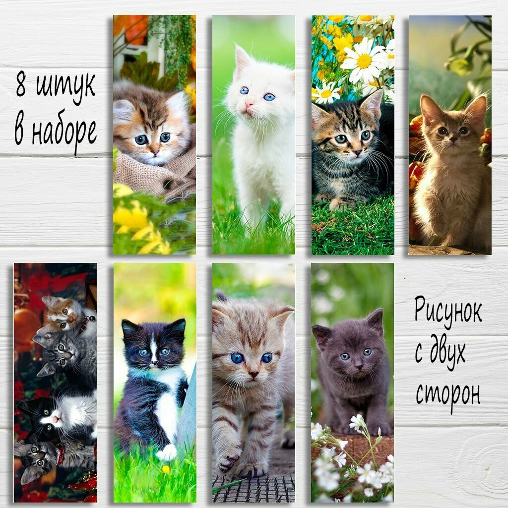 Закладка для книг котики, котята, набор из 8 штук