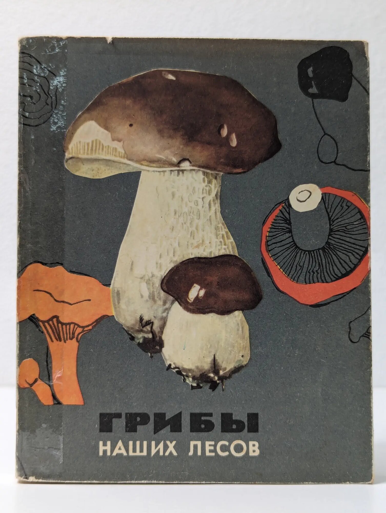Грибы наших лесов Сборник 1970