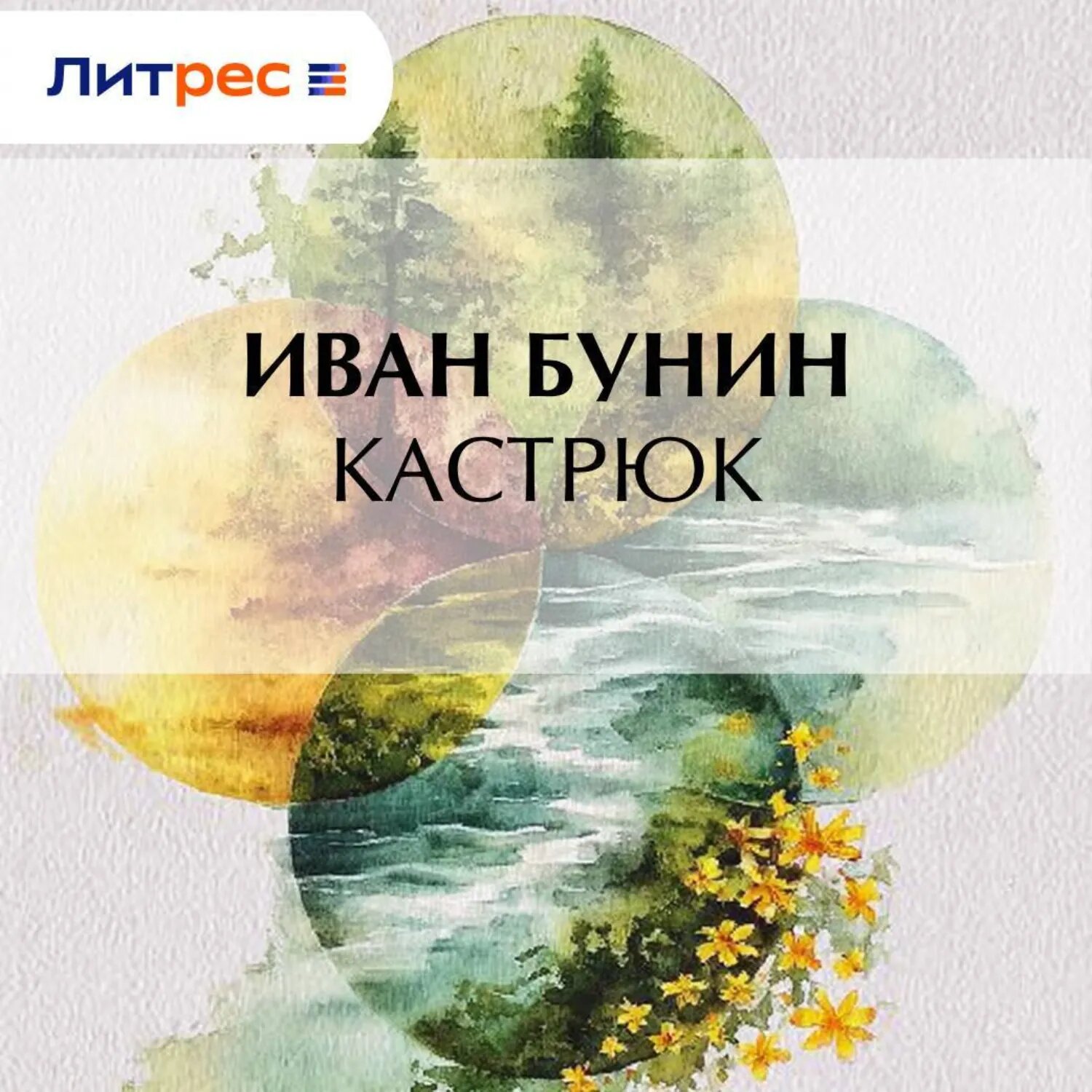 Кастрюк [Аудиокнига]