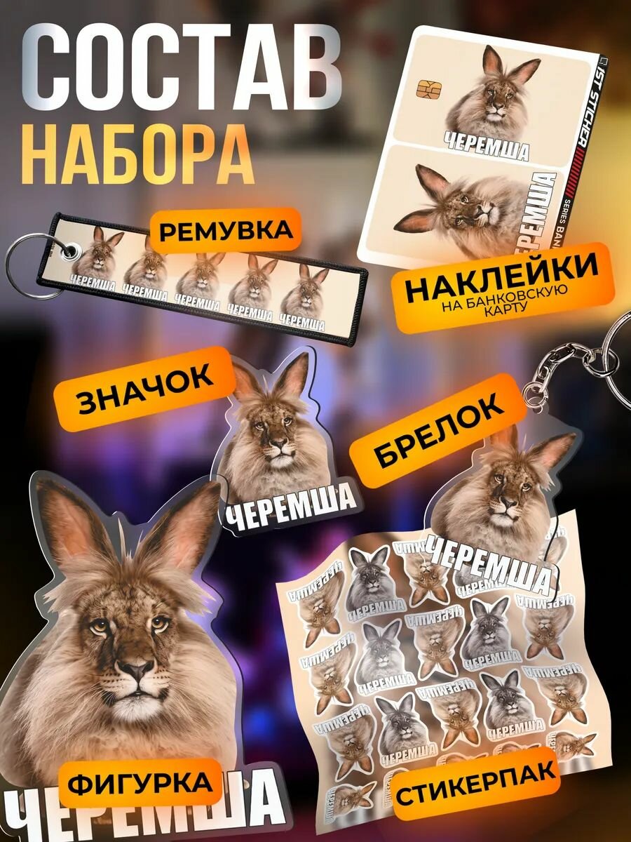 Подарочный бокс Мем Черемша — фото 1