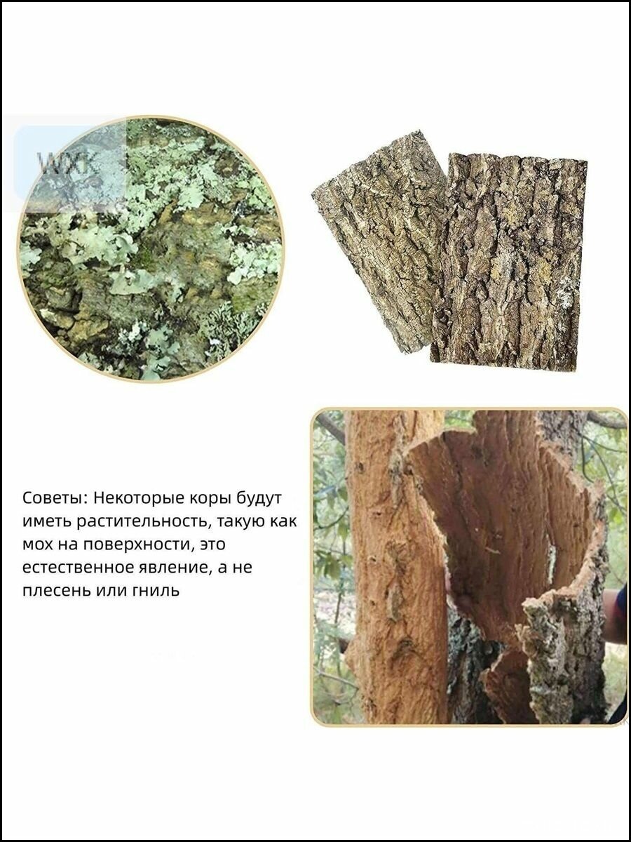 Фон для террариума — фото 1