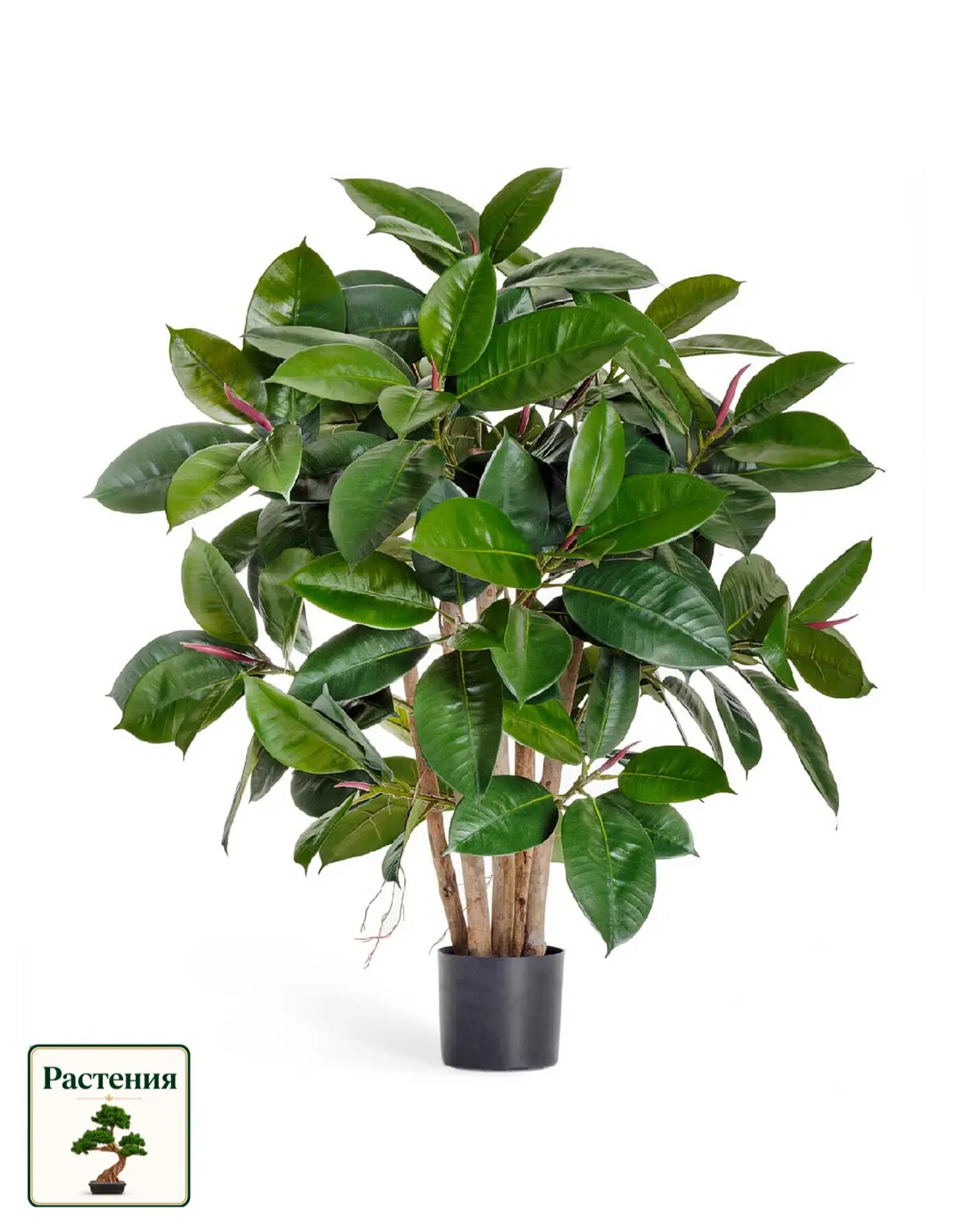 Фикус искусственный Эластика куст зеленый 65 х 90 TREEZ Collection, высокотехнологичный пластик