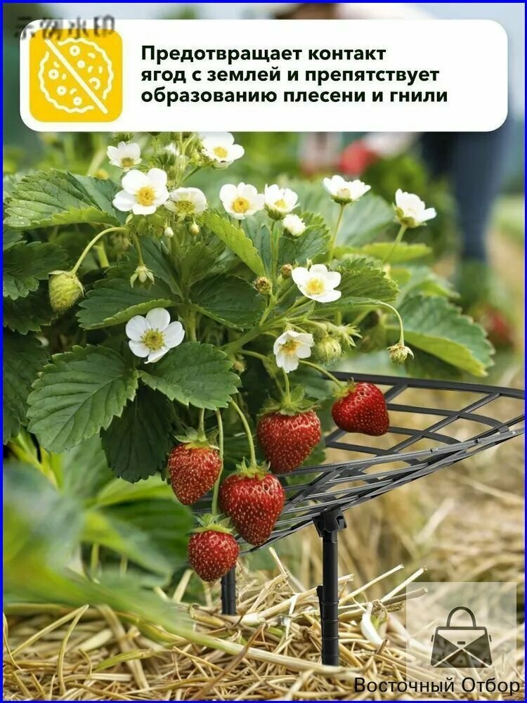 Шпалера,30см,100шт — фото 1