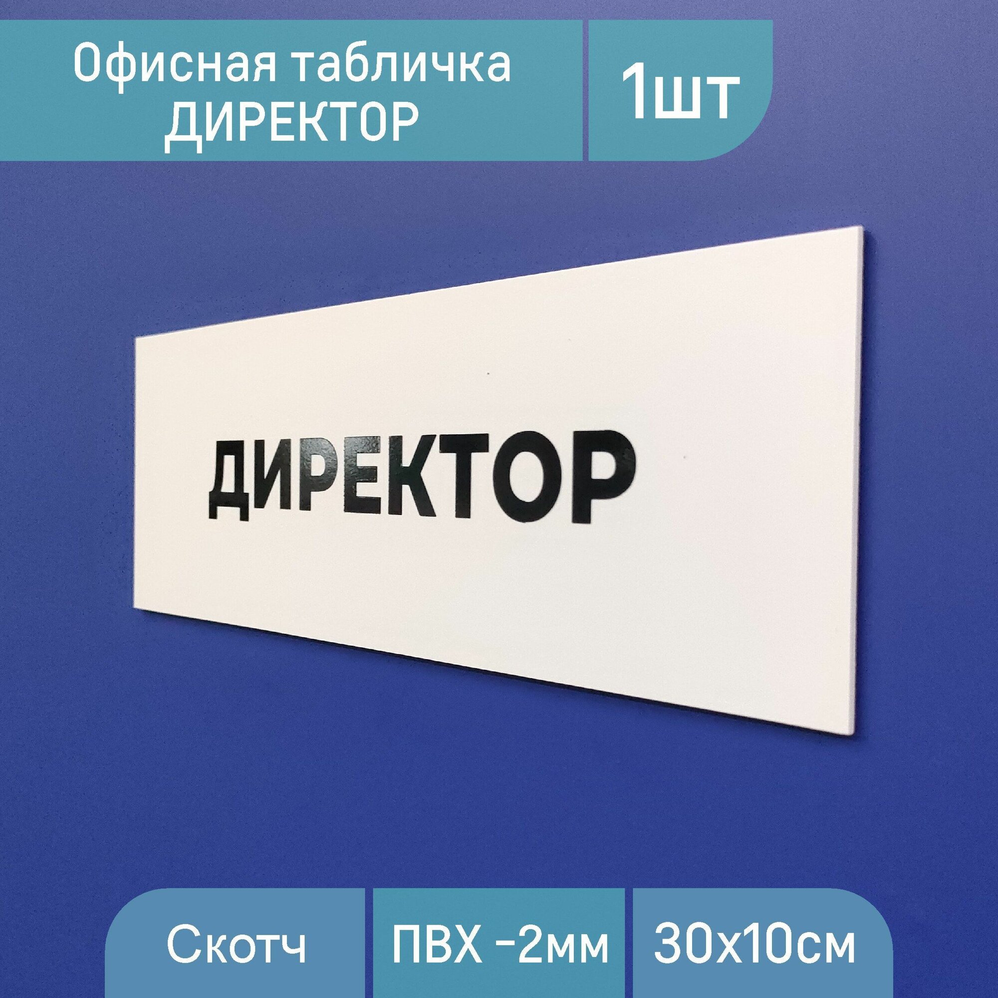 Табличка офисная, Директор 300х100мм