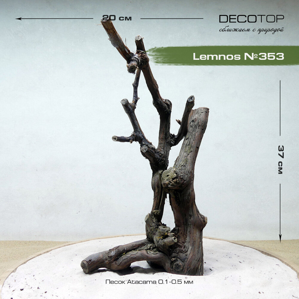 Lemnos 353 - Натуральная коряга для террариумов, 20х8х37 см