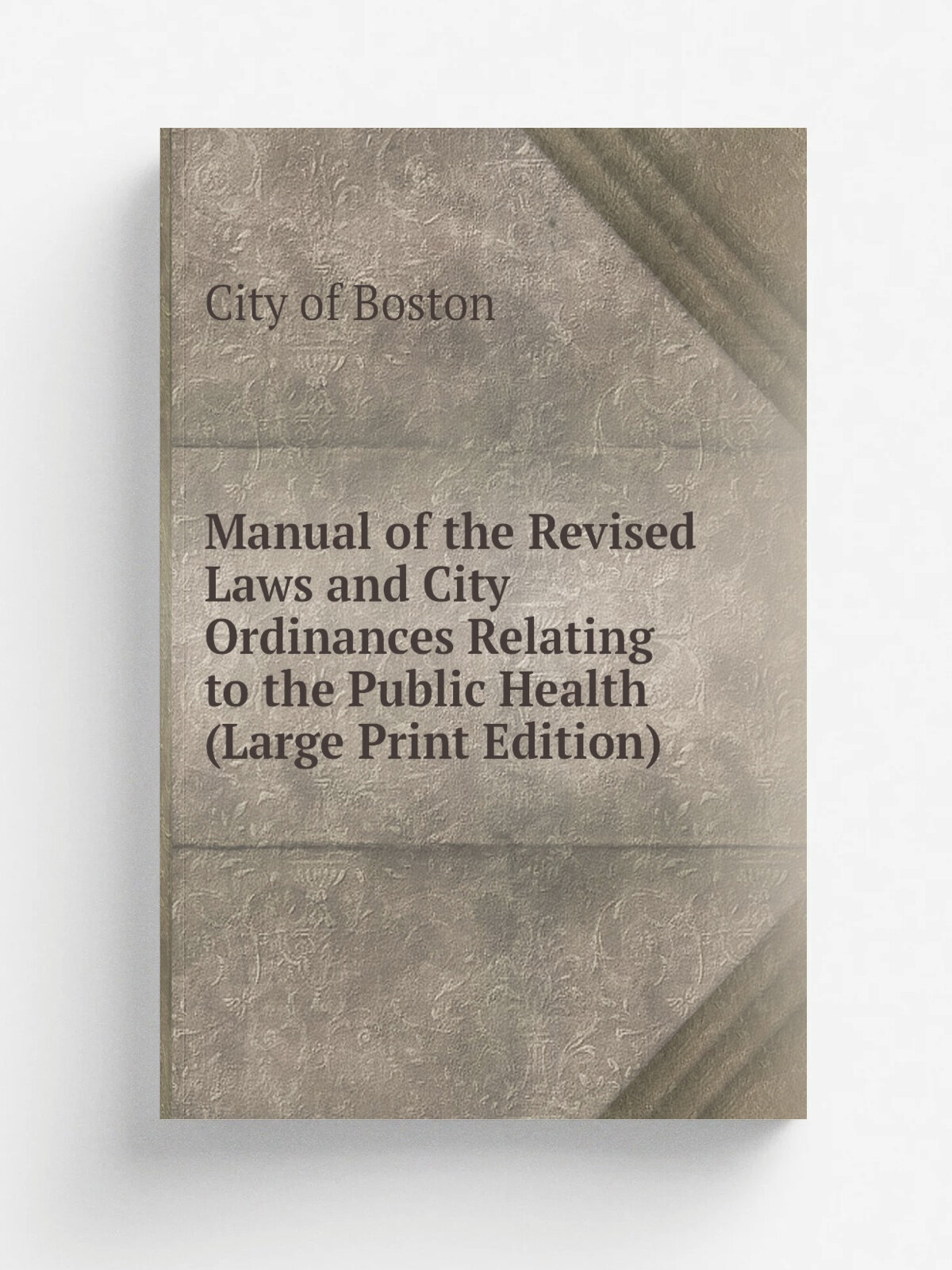 Manual of the Revised Laws and City Ordinances Relating to the Public Health (Large Print Edition)