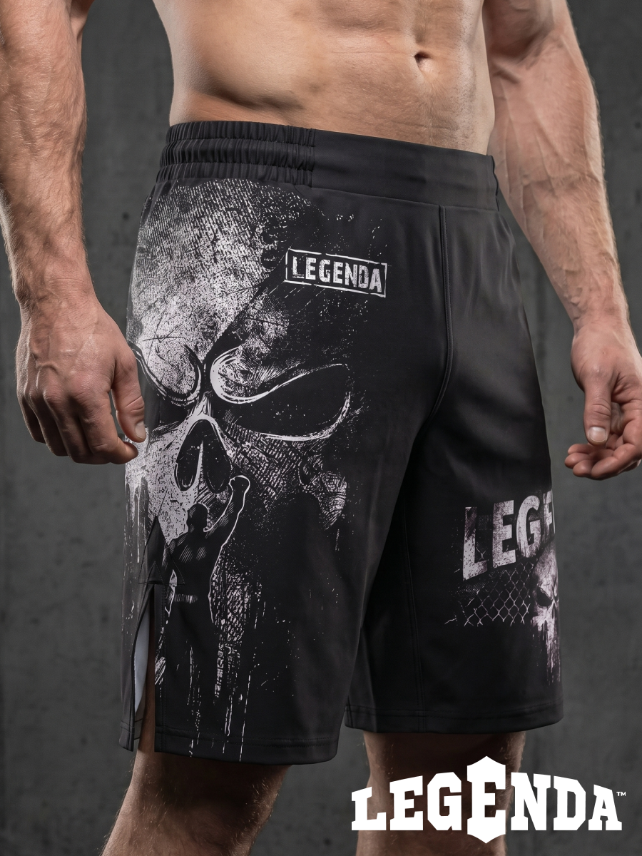 Шорты спортивные Legenda