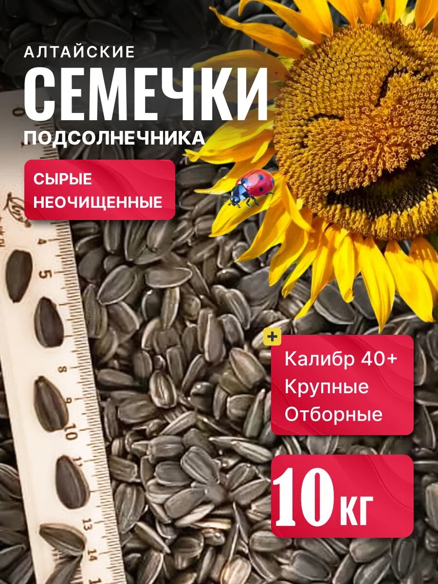 Семечки подсолнечника Алтайские сырые 10 кг, крупные