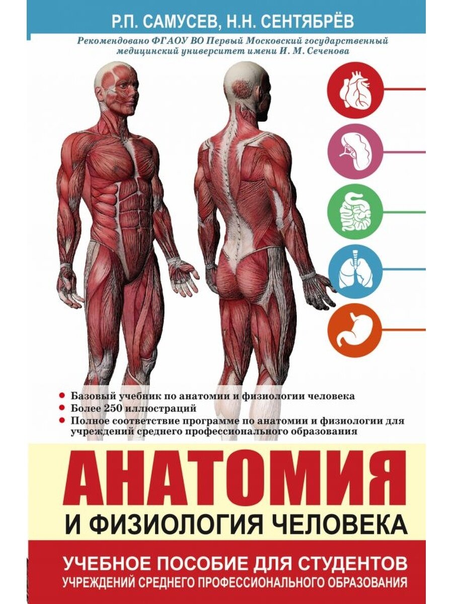 Анатомия и физиология человека. Учебное пособие для студенто