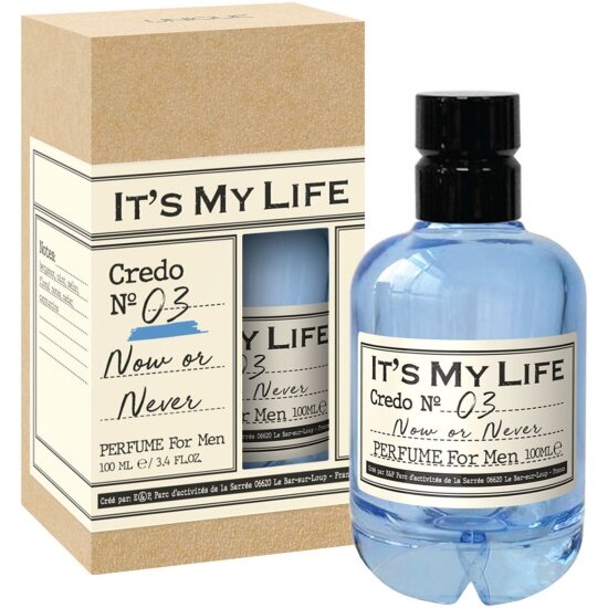 Мужские духи Art Parfum It's My Life Credo 03, 100 мл