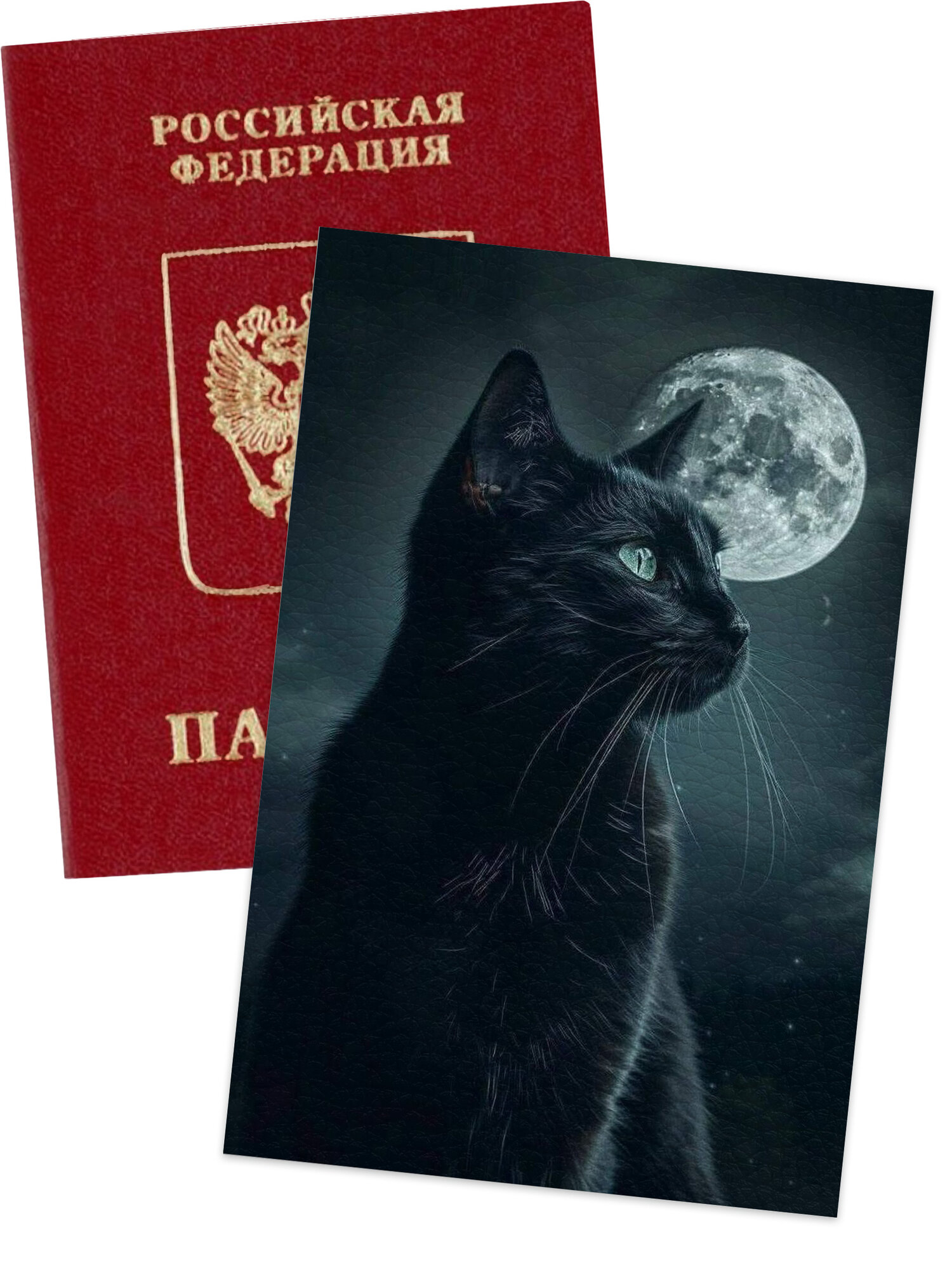 Обложка для паспорта
