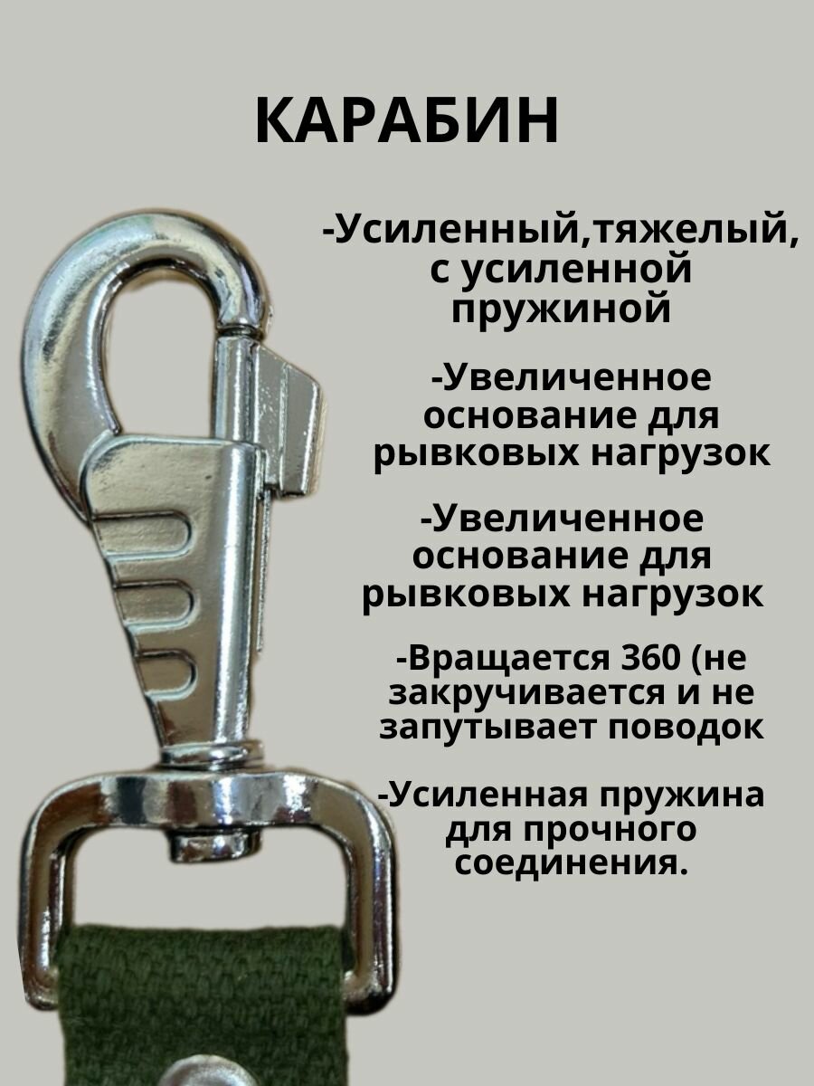Поводок для питомца — фото 1